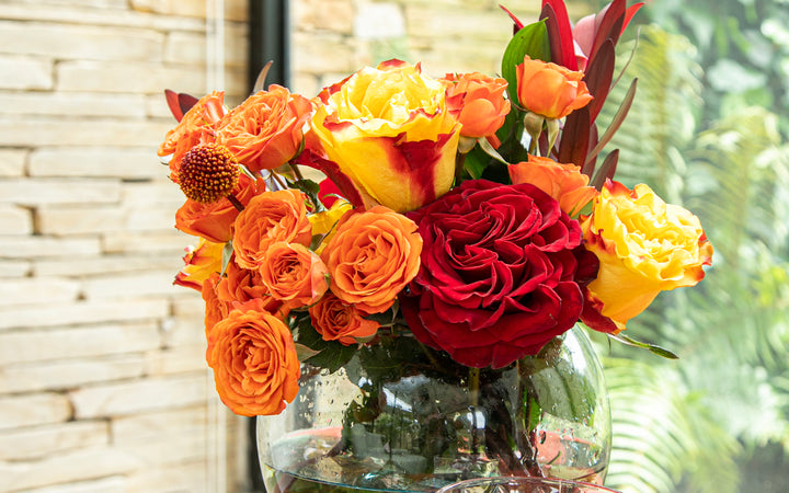 POMP Flowers | Roses Delivery | Next Day Rose Delivery Service Online