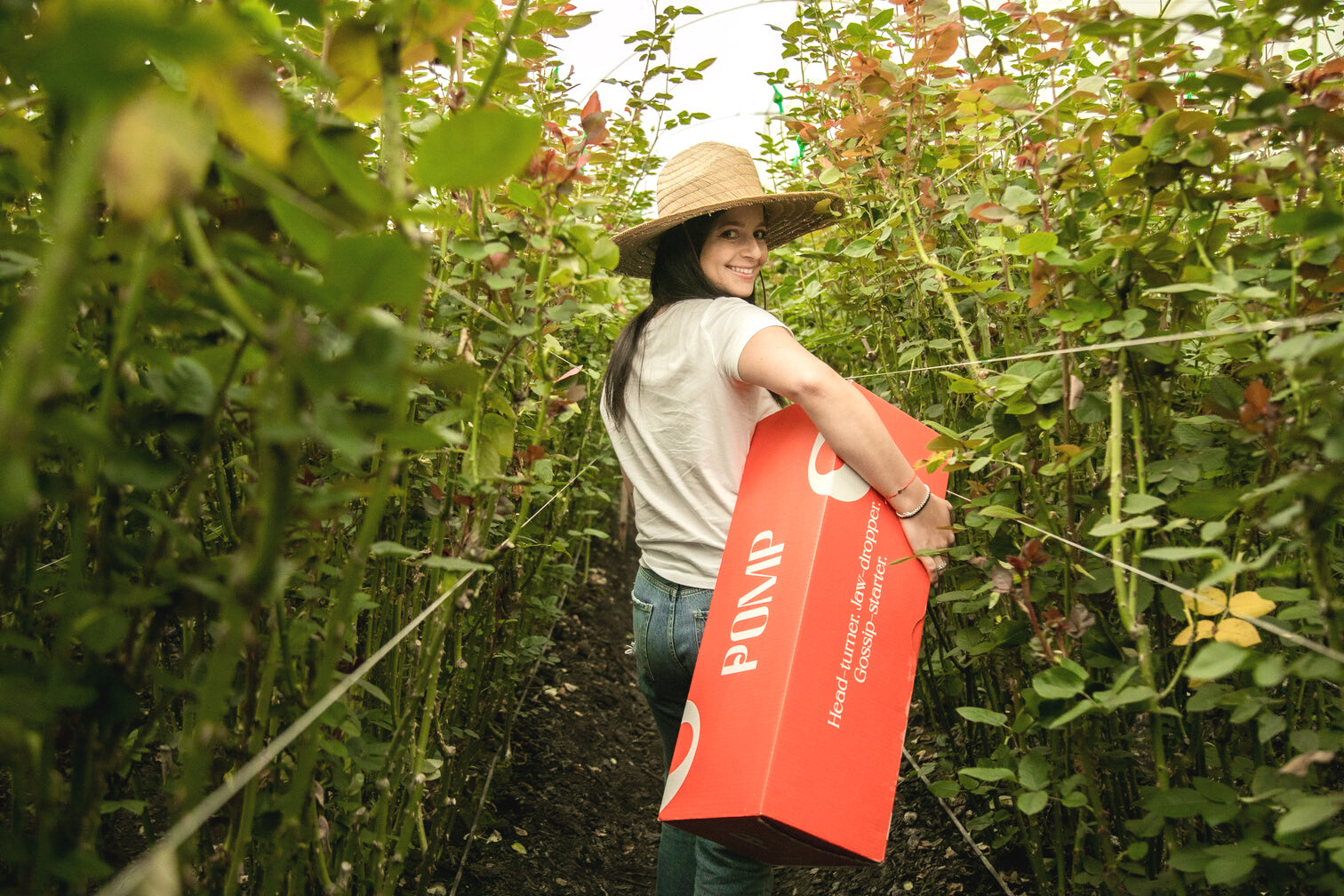 POMP Flowers | Roses Delivery | Next Day Rose Delivery Service Online