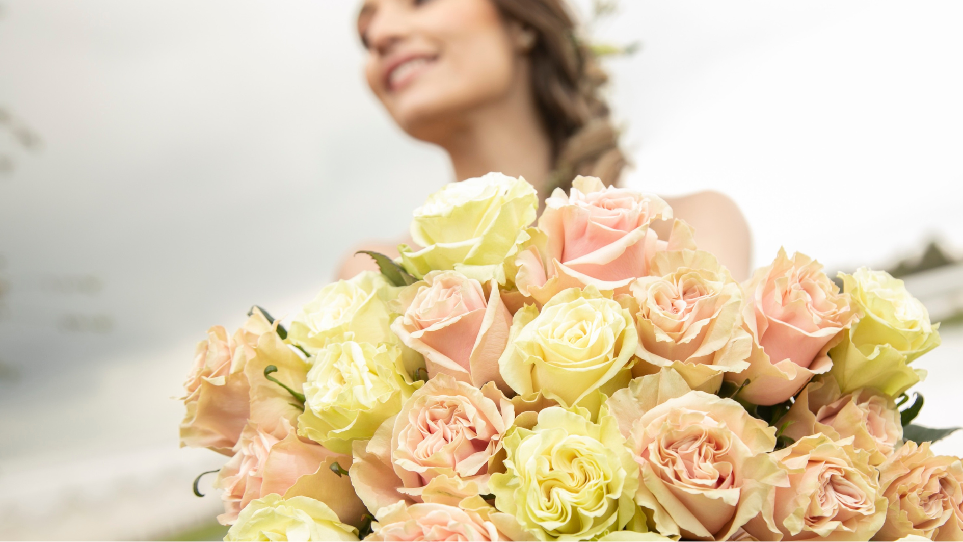 POMP Flowers | Roses Delivery | Next Day Rose Delivery Service Online