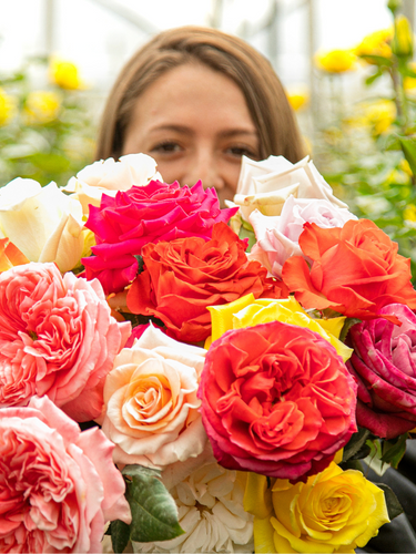 POMP Flowers | Roses Delivery | Next Day Rose Delivery Service Online