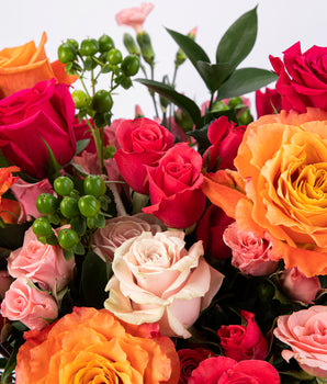 POMP Flowers | Roses Delivery | Next Day Rose Delivery Service Online