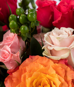 POMP Flowers | Roses Delivery | Next Day Rose Delivery Service Online