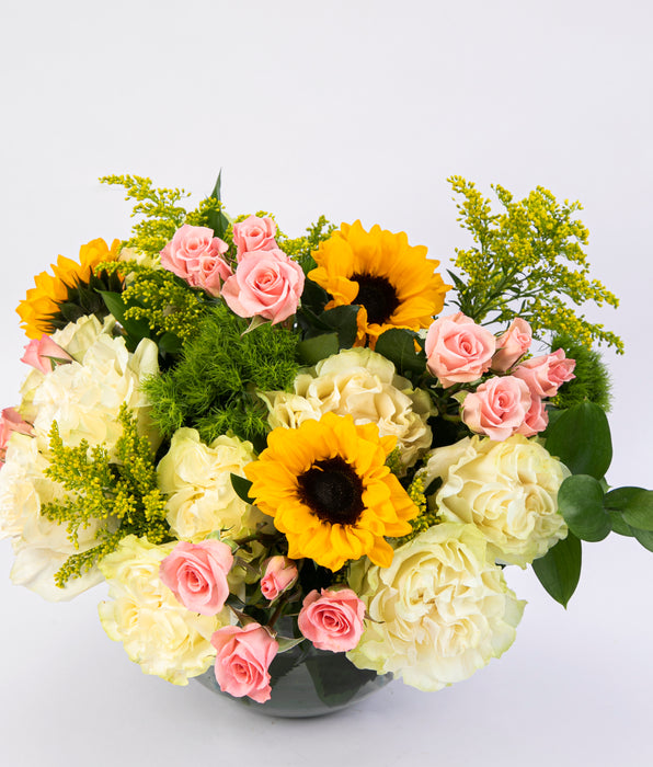 POMP Flowers | Roses Delivery | Next Day Rose Delivery Service Online