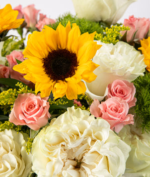 POMP Flowers | Roses Delivery | Next Day Rose Delivery Service Online