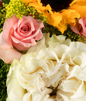 POMP Flowers | Roses Delivery | Next Day Rose Delivery Service Online