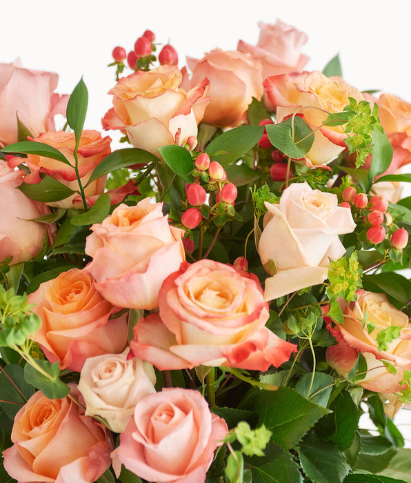 POMP Flowers | Roses Delivery | Next Day Rose Delivery Service Online
