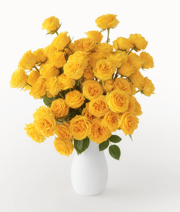 Roses Bouquet Delivery | Big Bouquet of Roses |Pomp Flowers – POMP