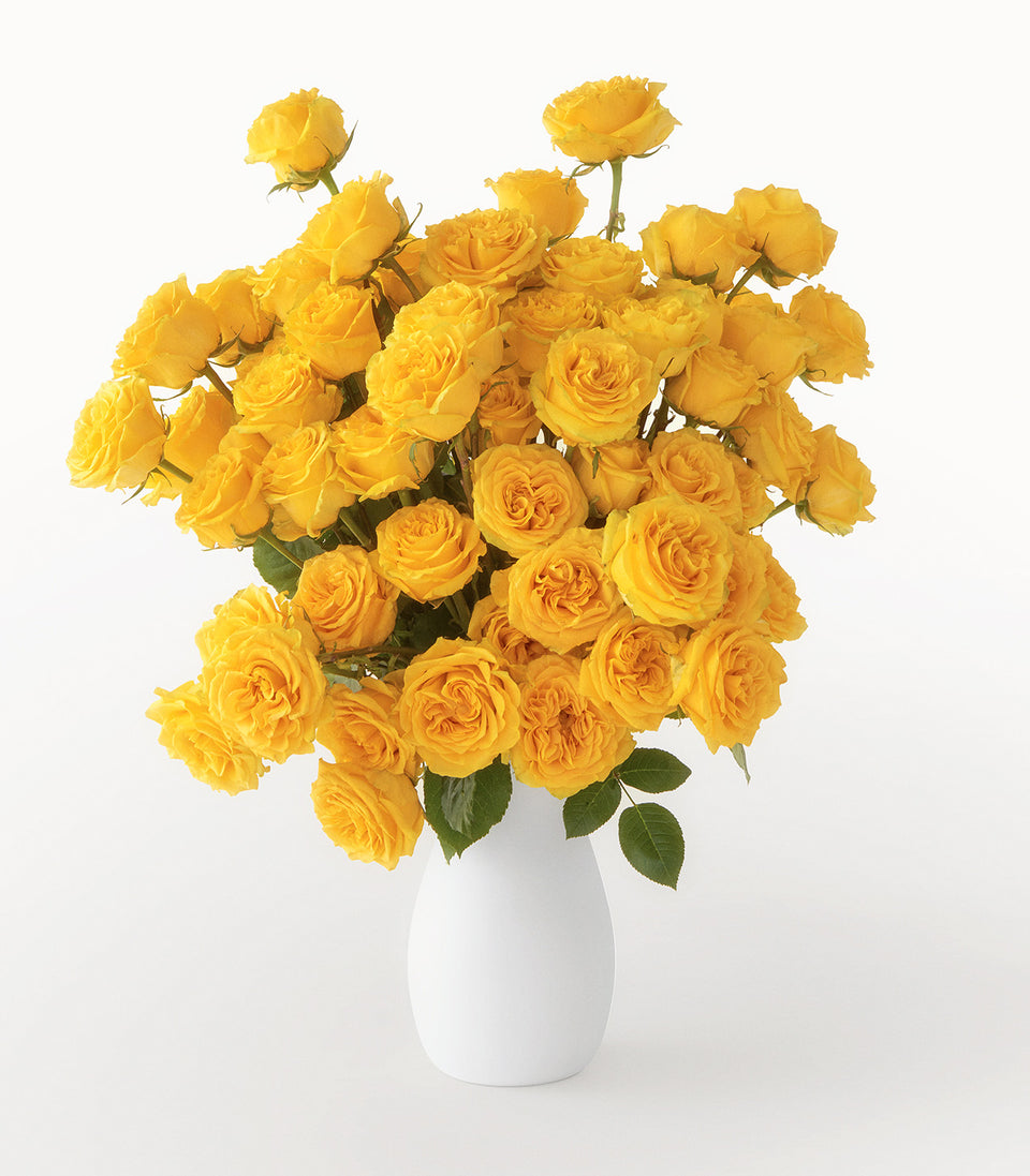 Lemon Lace Yellow Rose Bouquet Delivery | POMP Flowers