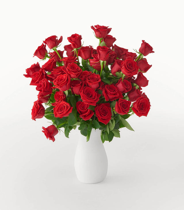 Ruby Red Rose Delivery | POMP Flowers