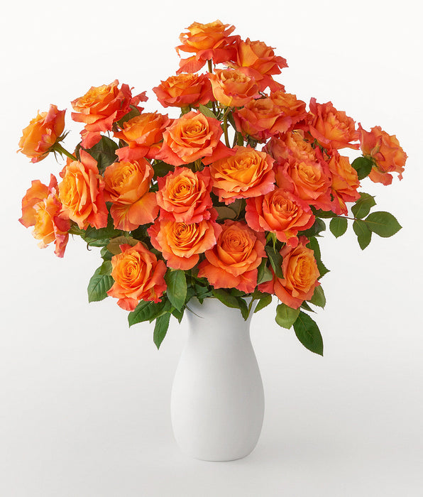 POMP Flowers | Roses Delivery | Next Day Rose Delivery Service Online