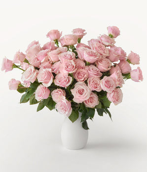 POMP Flowers | Roses Delivery | Next Day Rose Delivery Service Online