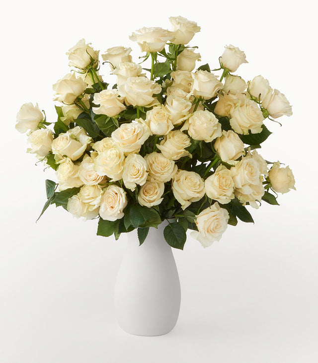Snow Cap - White Rose Delivery | POMP Flowers
