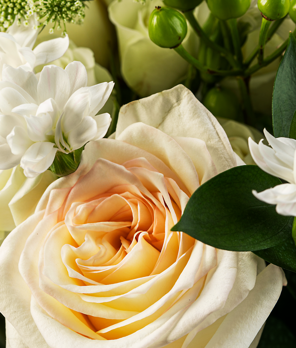 POMP Flowers | Roses Delivery | Next Day Rose Delivery Service Online