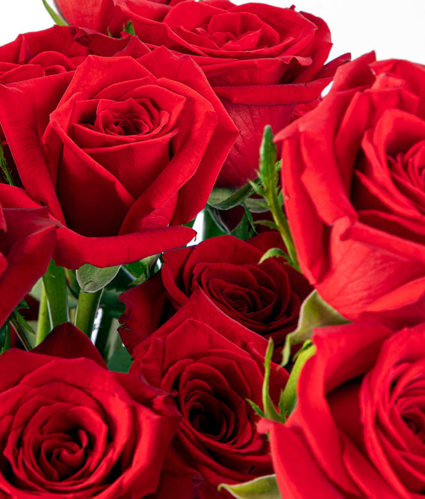 POMP Flowers | Roses Delivery | Next Day Rose Delivery Service Online