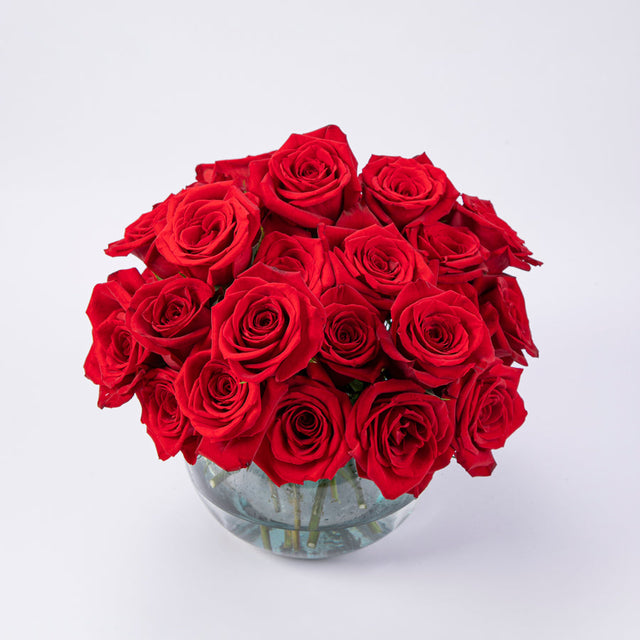 Ruby Red Rose Delivery | POMP Flowers
