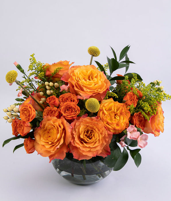 POMP Flowers | Roses Delivery | Next Day Rose Delivery Service Online