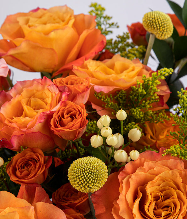POMP Flowers | Roses Delivery | Next Day Rose Delivery Service Online