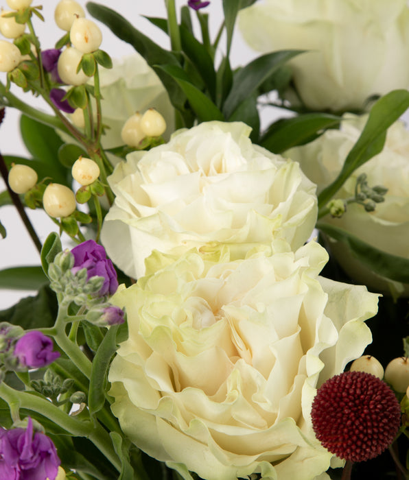 POMP Flowers | Roses Delivery | Next Day Rose Delivery Service Online