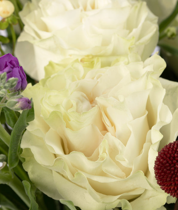 POMP Flowers | Roses Delivery | Next Day Rose Delivery Service Online